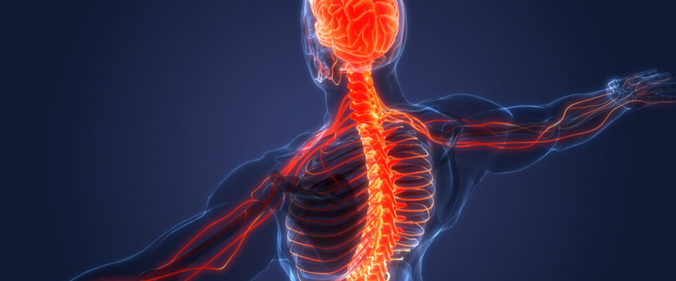 Cervical spine instability and brain injuries - The hidden connection!